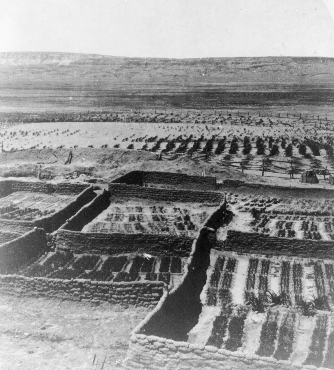 Insights from Traditional Farming Practices – New Mexico Farmers ...